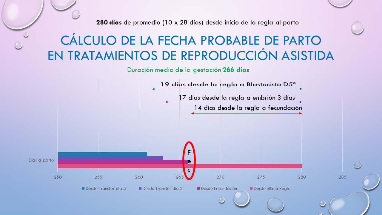¿Cómo calcular la fecha de parto? – FERTIL reproduccion asistida FIV ...